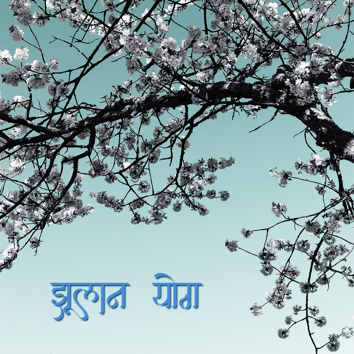 Shree Aum | Products